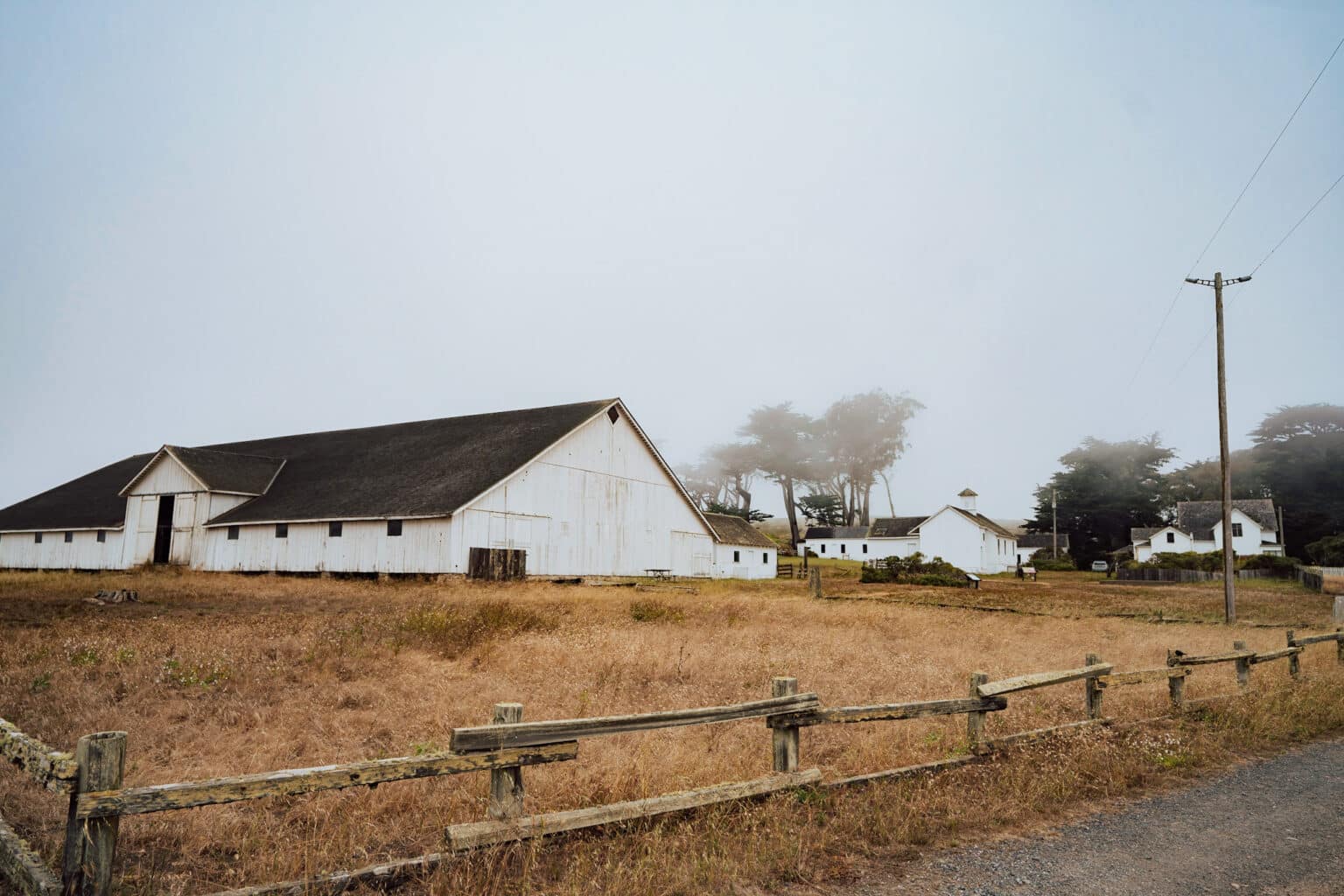 Everything You Need To Know About Hiking Tomales Point Trail - A ...