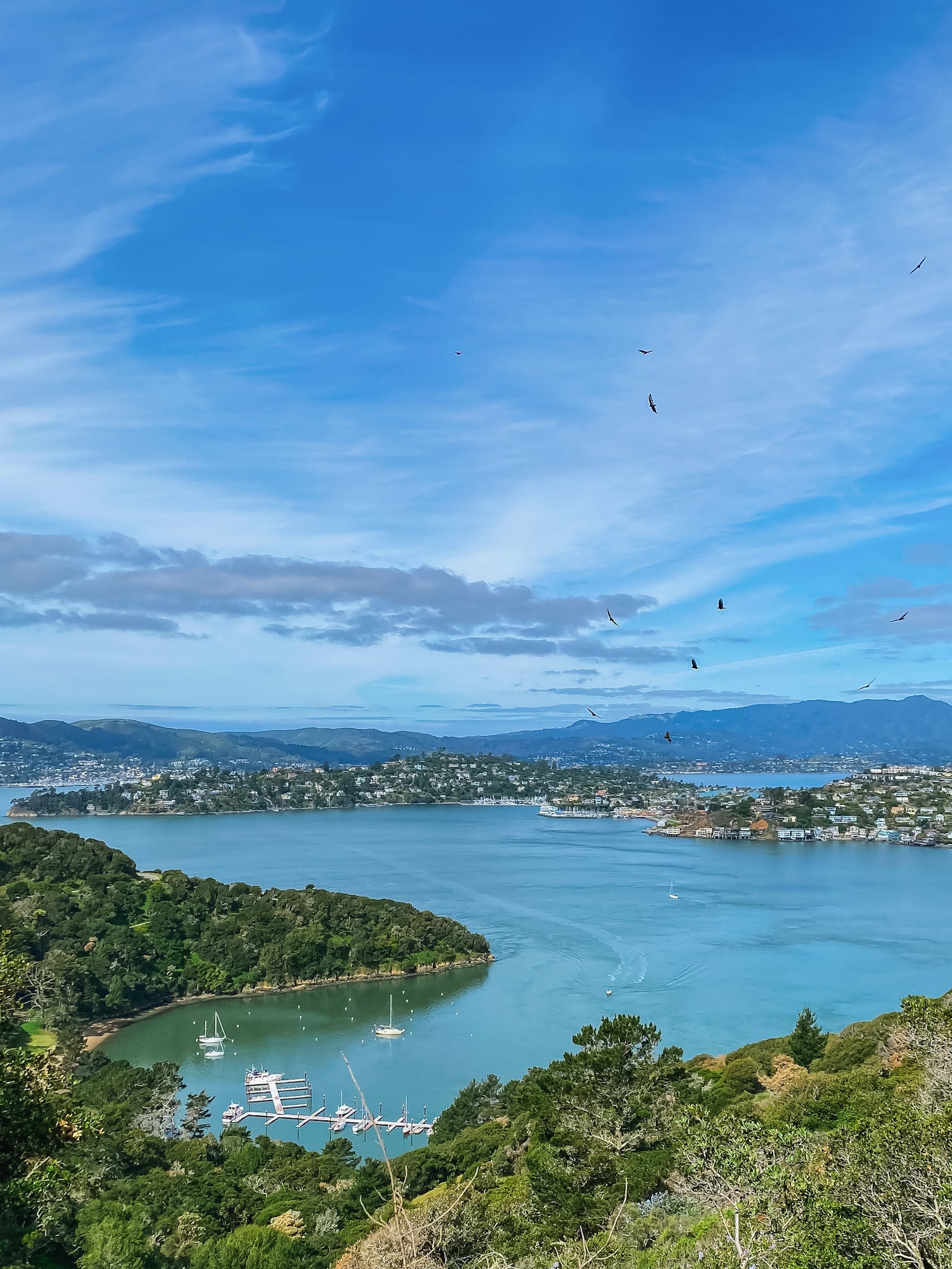 Scenic Rides and Historic Trails: Biking Angel Island State Park - A ...
