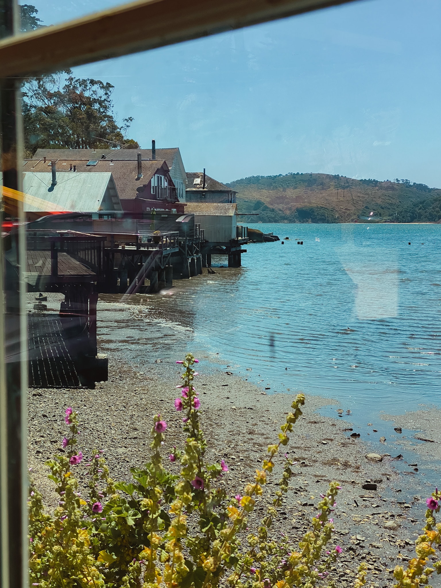 Kayaking Tomales Bay: Exploring California’s Coastal Gem - A Travelers ...