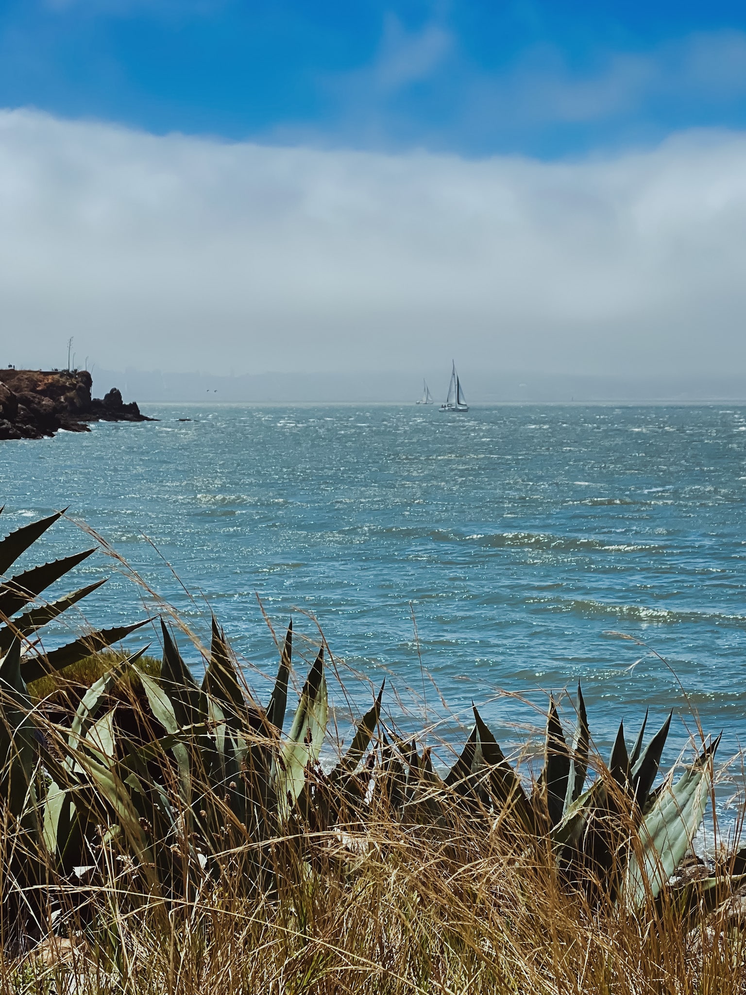 Scenic Rides and Historic Trails: Biking Angel Island State Park - A ...