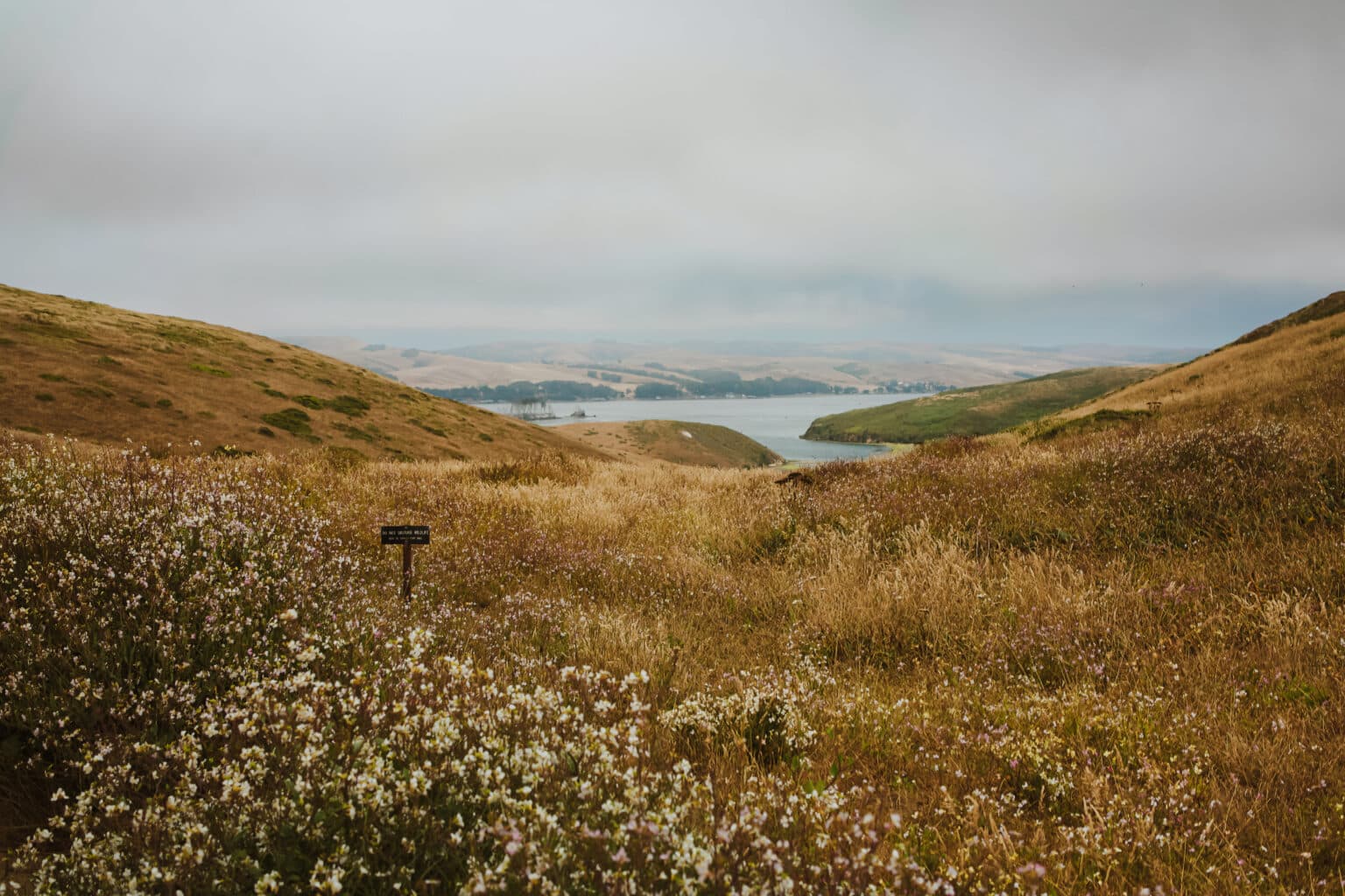 Everything You Need To Know About Hiking Tomales Point Trail - A ...