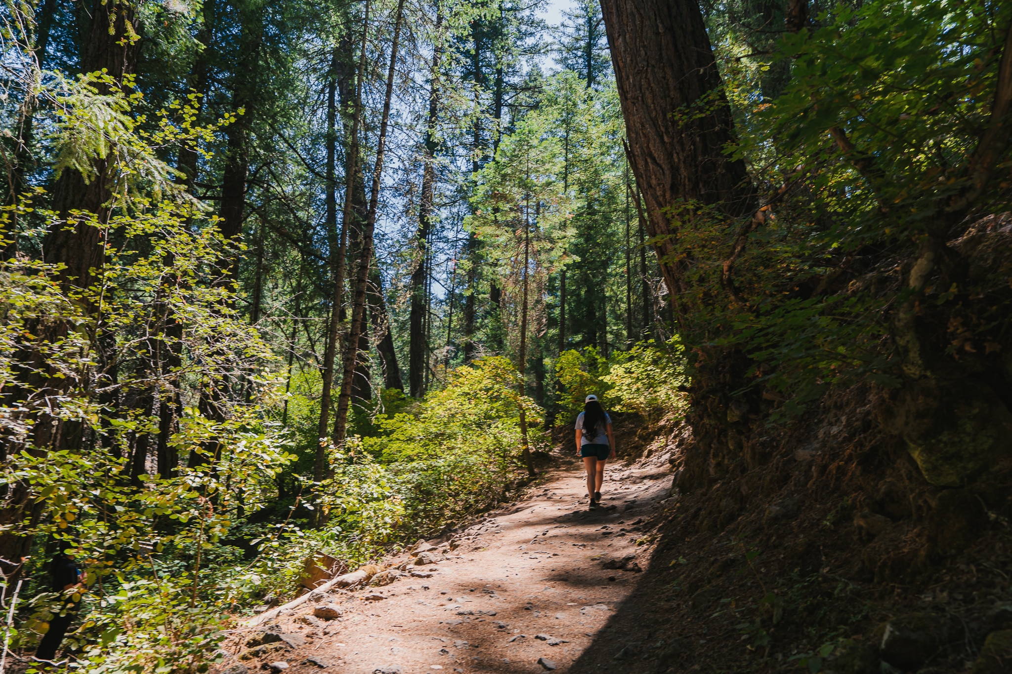 Camping at McArthur Burney Falls Memorial State Park - A Travelers Trail