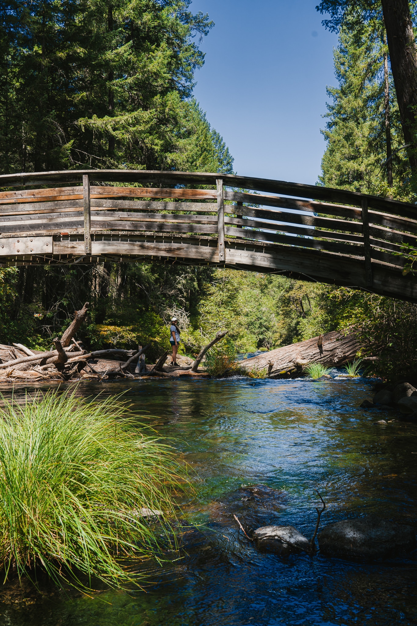 Camping at McArthur Burney Falls Memorial State Park - A Travelers Trail