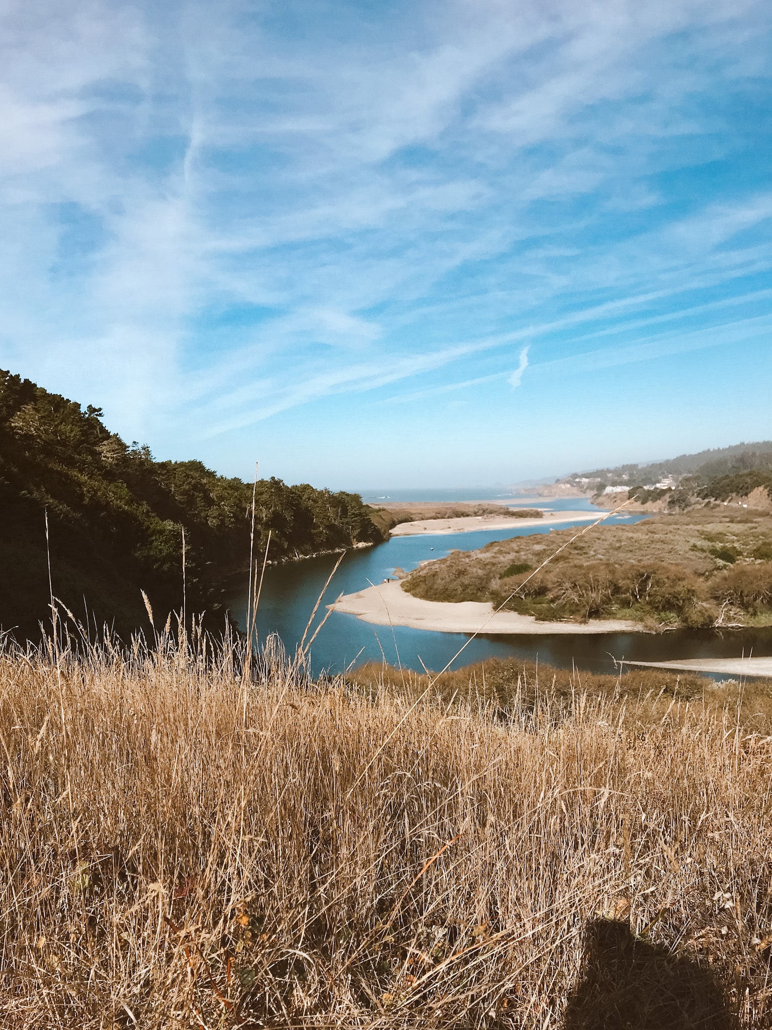 Camping in Gualala | One of Our Favorite Campsites in NorCal - A ...