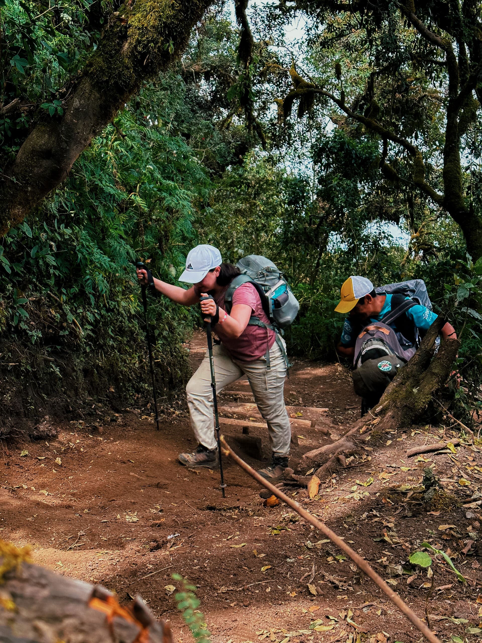 Everything You Need To Know About Hiking Acatenango - A Travelers Trail
