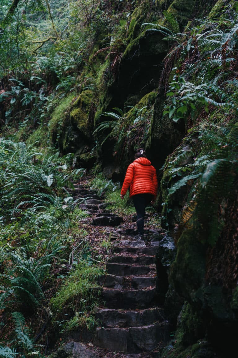 Camping at Steep Ravine: Where Ocean Views and Adventure Meet - A ...