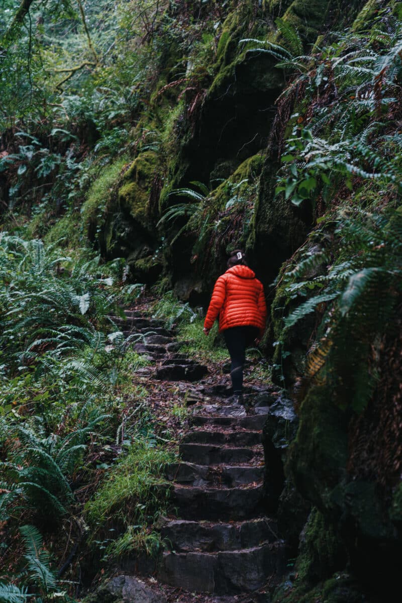 Camping at Steep Ravine: Where Ocean Views and Adventure Meet - A ...