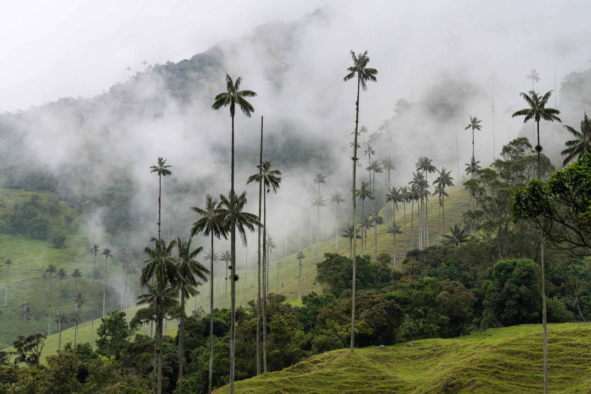 Exploring the Best of Colombia: A 3 week Itinerary - A Travelers Trail