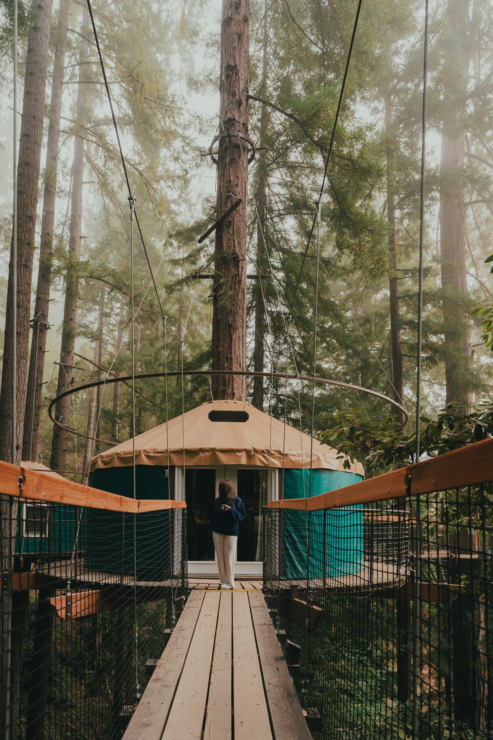Sonoma Zipline Adventures: An Unforgettable Escape into Nature - A ...
