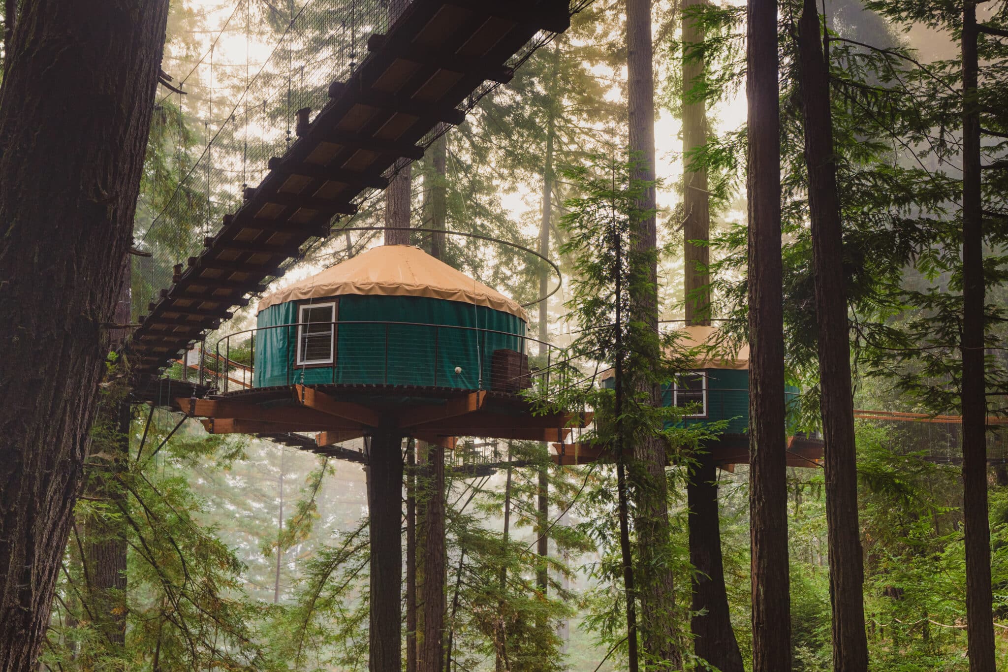 Sonoma Zipline Adventures: An Unforgettable Escape into Nature - A ...