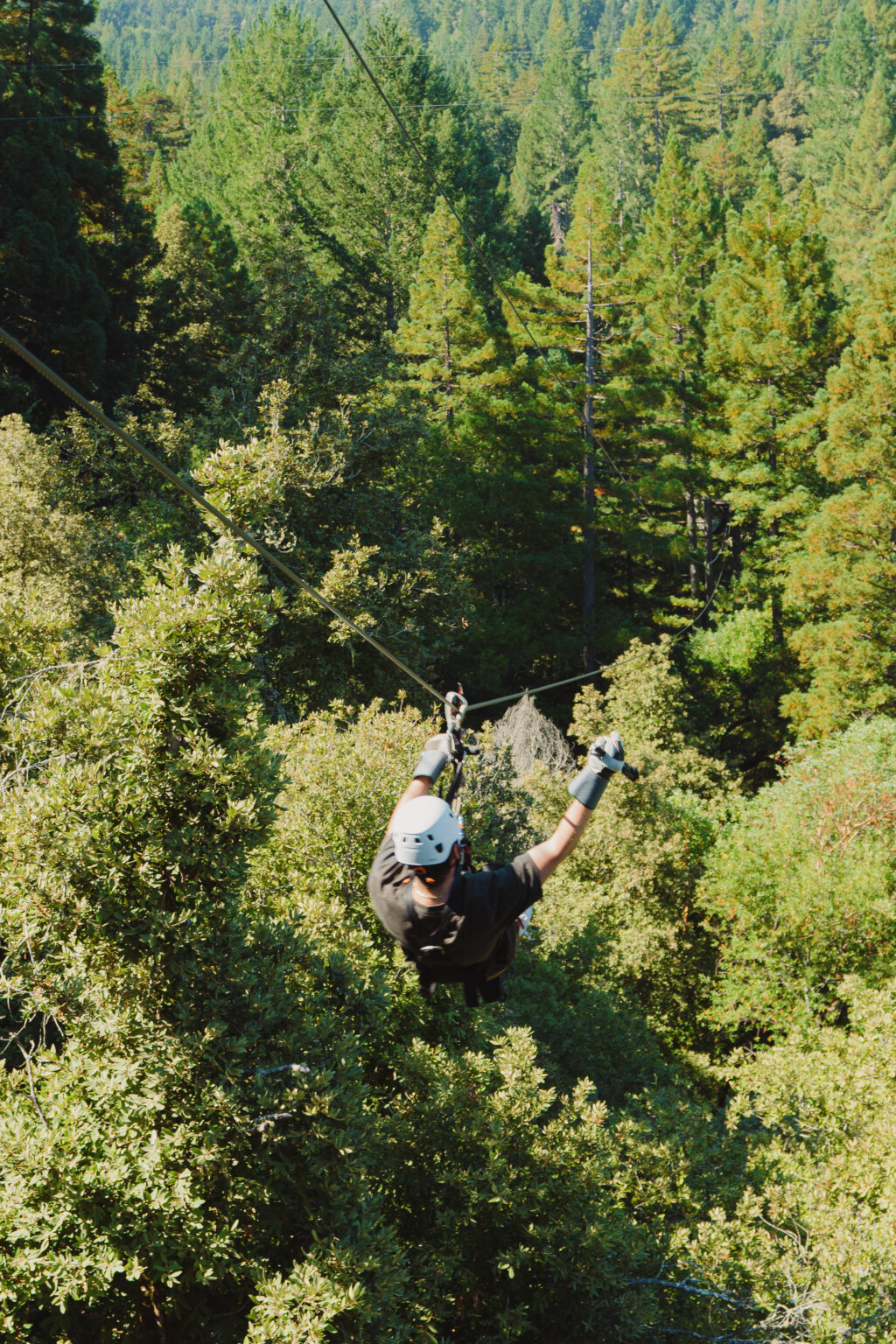Sonoma Zipline Adventures: An Unforgettable Escape into Nature - A ...